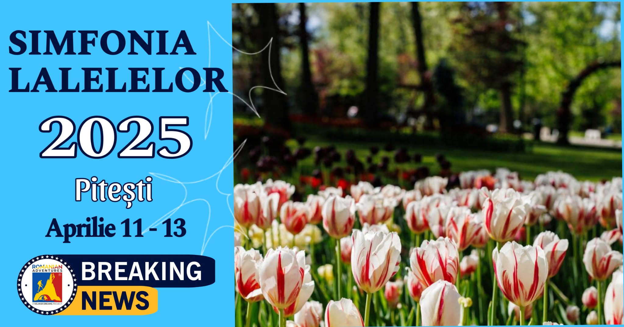 Simfonia Lalelelor 2025 – Festivalul Florilor din Pitești | Romanian ...