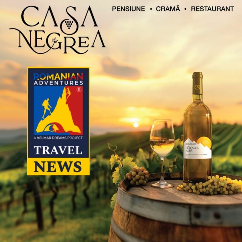 Degustare de Vinuri la Casa Neagrea - O experiență autentică în cramă ...